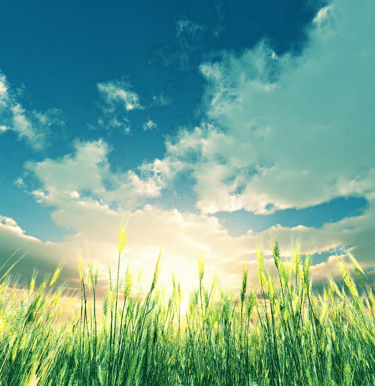 Open Field Agriculture Stock Illustrations – 25,638 Open Field ...