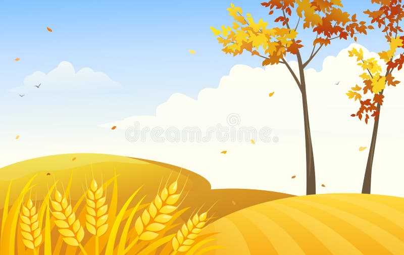 Wheat Field Background, Autumn Harvest Landscape Stock Vector ...
