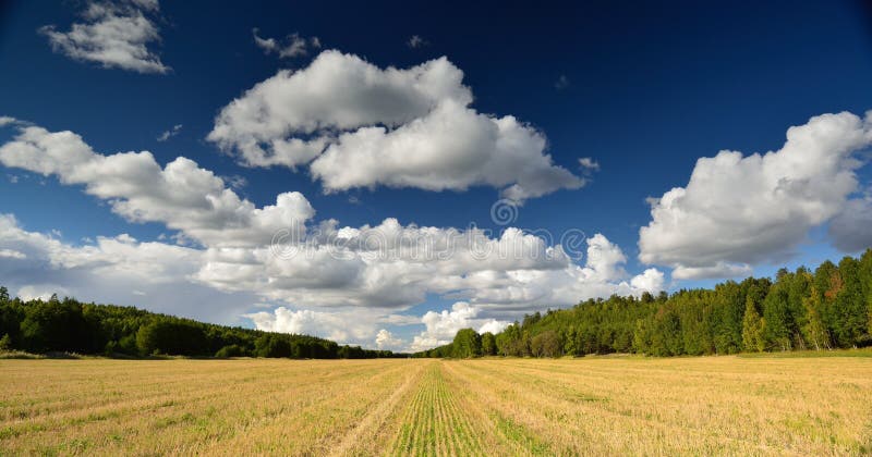Wheat Field Country Side stock photo. Image of field - 47165564