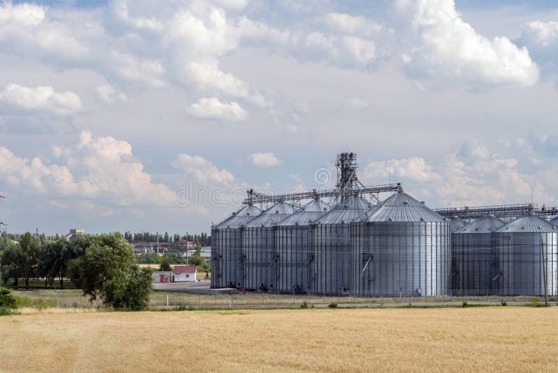 Wheat Field before the Elevator for Grain Storage. Grain Warehouse ...