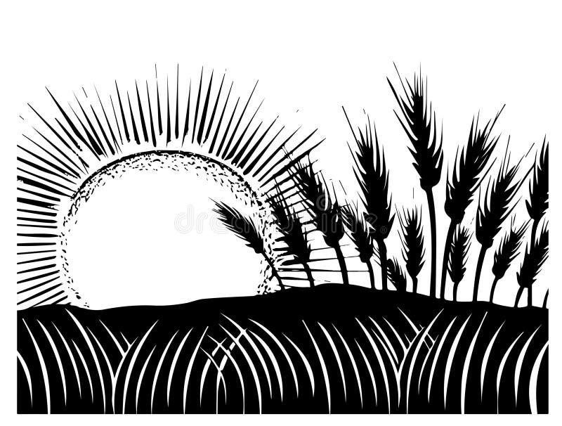 Wheat field hand drawing stock illustration. Illustration of farmland ...