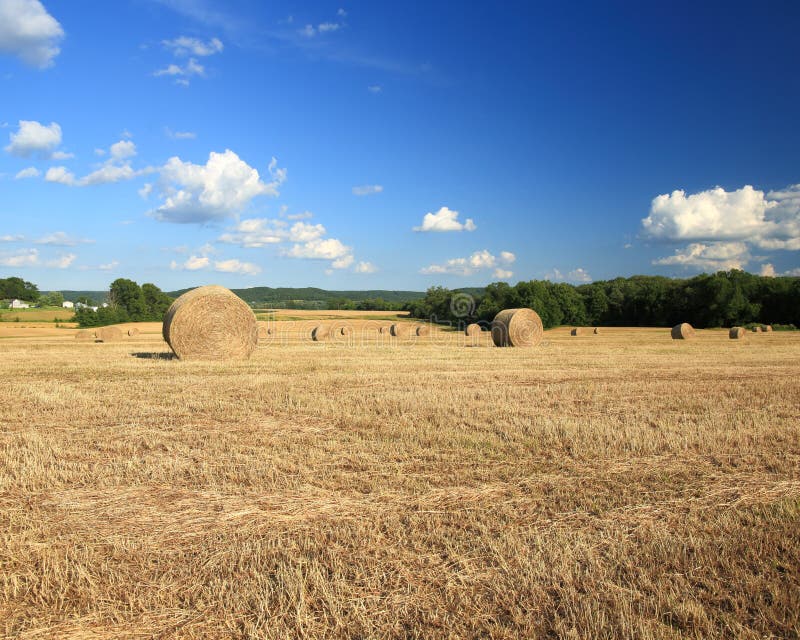 Wheat field stock image. Image of bales, clouds, machinery - 41911941