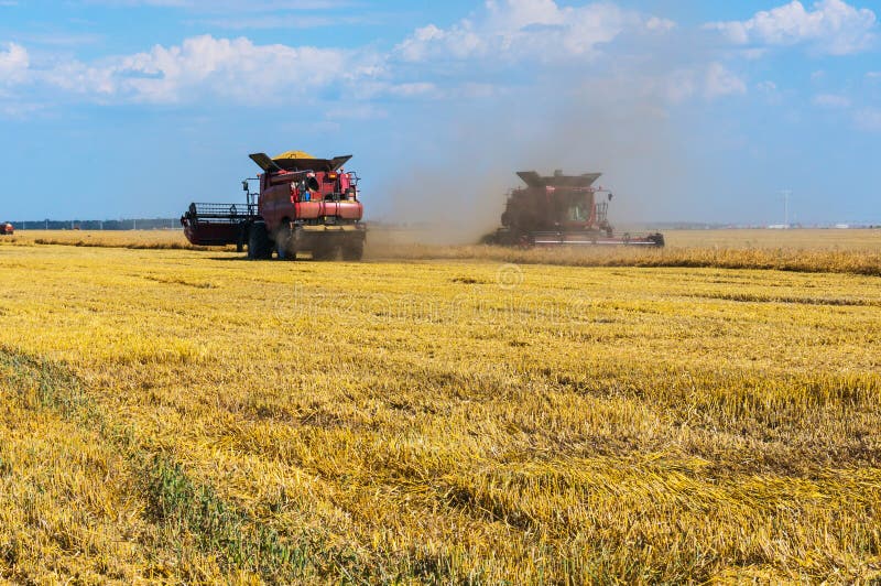 Wheat field harvesting stock image. Image of industrial - 43846901