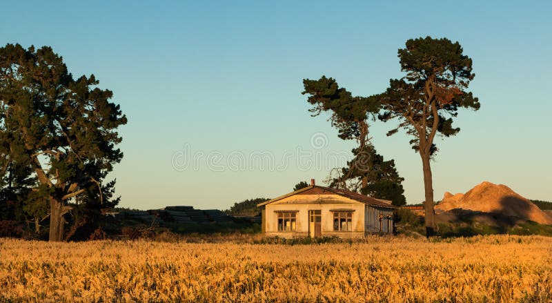 Wheat Field House stock image. Image of field, rural - 50155033