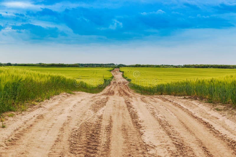 Wheat Field Landscape with Path Stock Image - Image of cross, natural ...