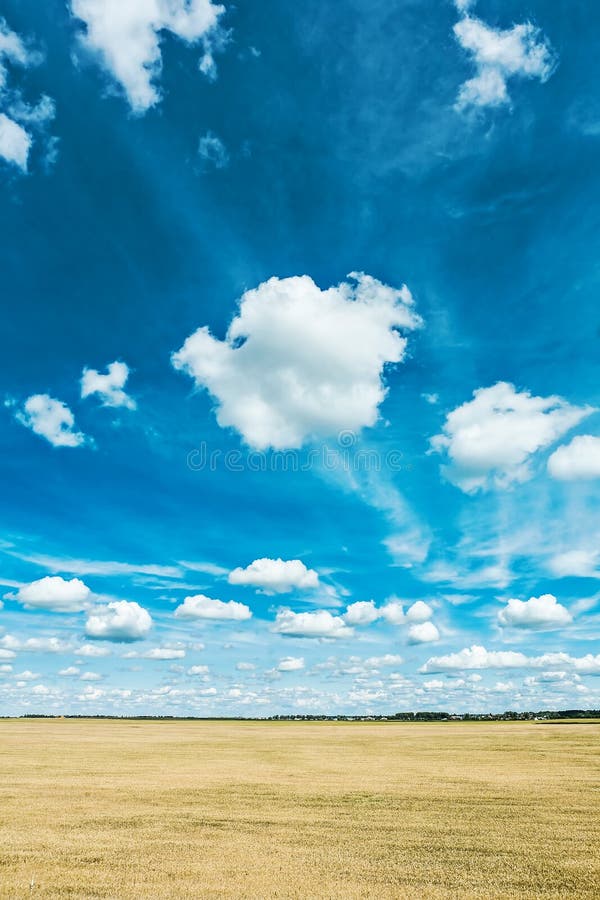 Wheat Field and Sky View from Height Stock Photo - Image of horizon ...