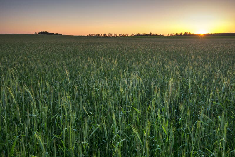 Sunset over the Farm stock photo. Image of natural, glory - 3497560