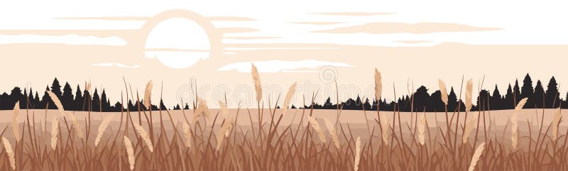 Wheat Field Vector Flat Minimalistic Isolated Illustration Stock Vector ...