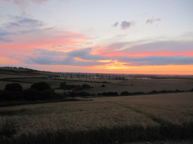 Wheat Fields at Dusk stock image. Image of sunset, dusk - 97254147