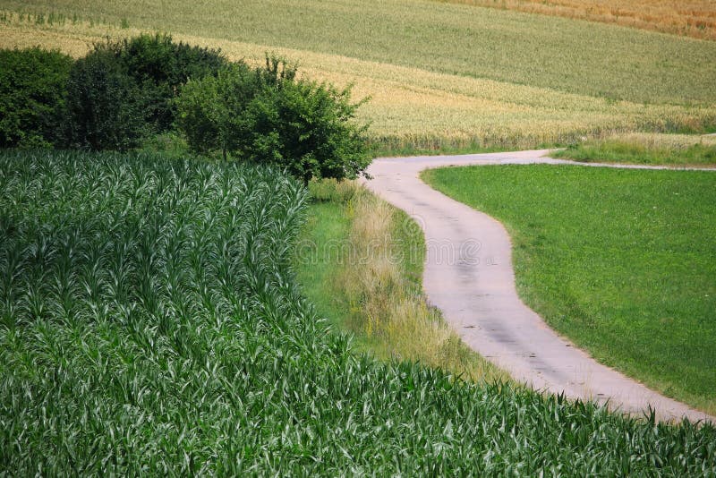 Wheat Fields in the Mountains of Germany Stock Image - Image of crop ...