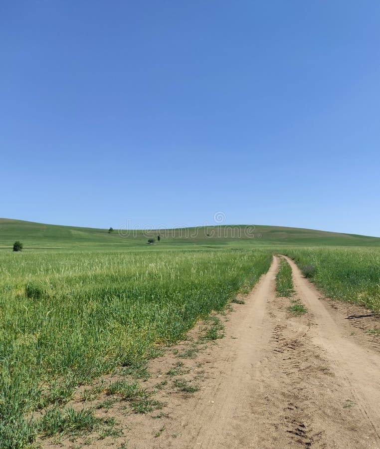 Wheat Fields and Path Road, Road and Fields, Road and Green Areas Stock ...