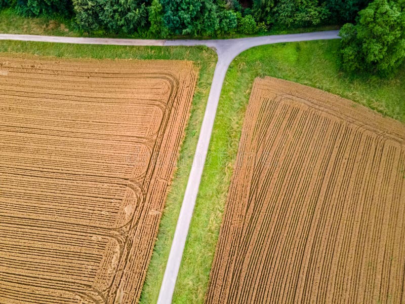 Wheat Fields with Pattern and Lines Divided by Grass and Road, Aerial ...