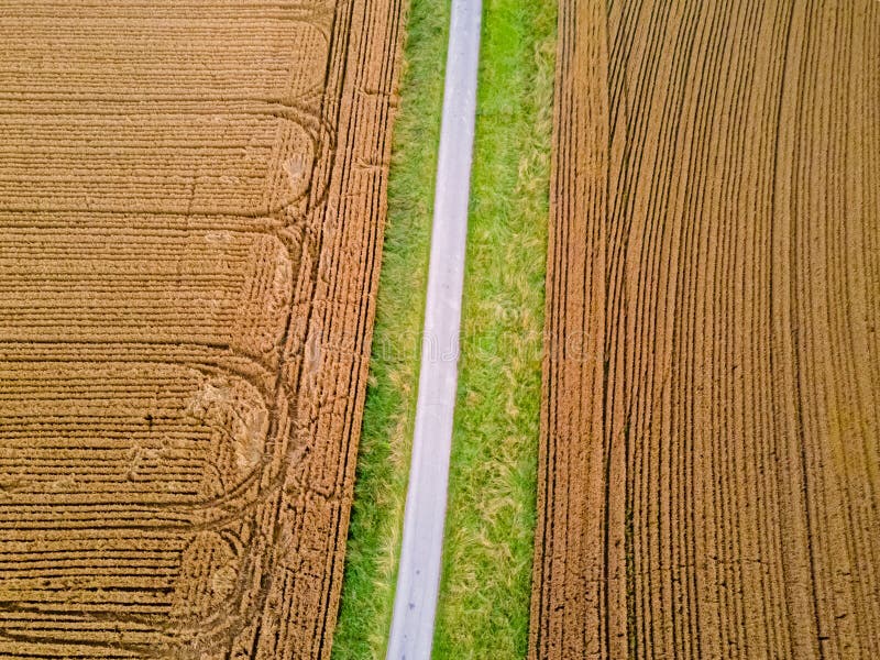Wheat Fields with Patterns and Lines Divided through a Asphalt Strip ...