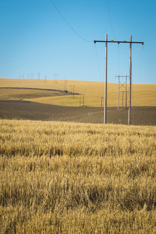 Wheat Fields, Power Lines, Eastern Washington Stock Image - Image of ...