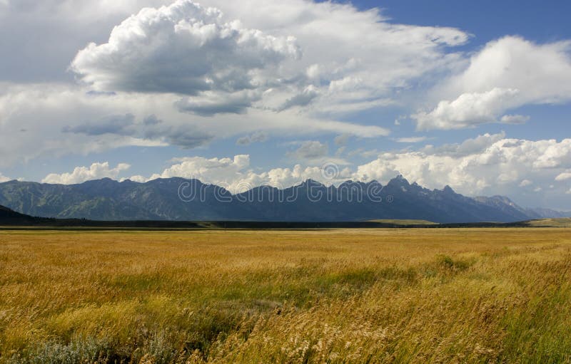 Wheat Fields with Teton Range in the Background Stock Photo - Image of ...