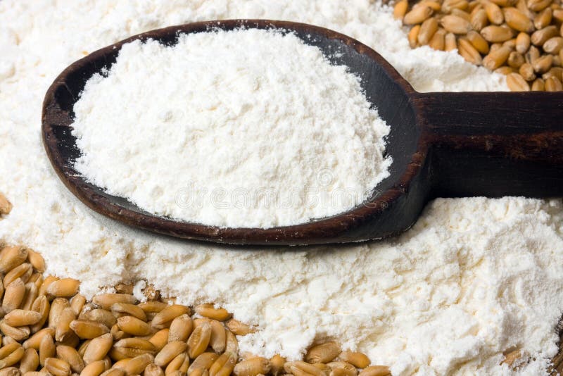 Flour and wheat grain stock image. Image of agriculture - 21541729