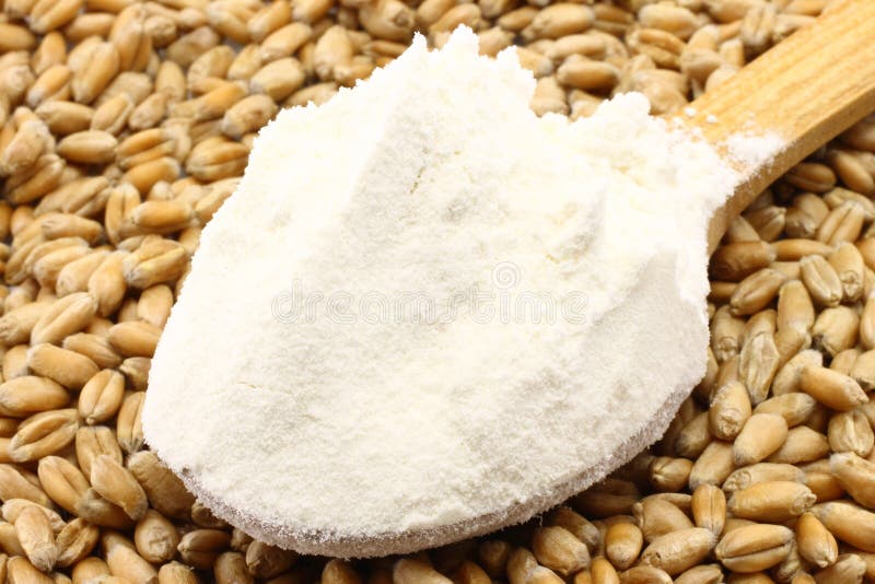 Wheat and flour stock image. Image of golden, color, flour - 21507277