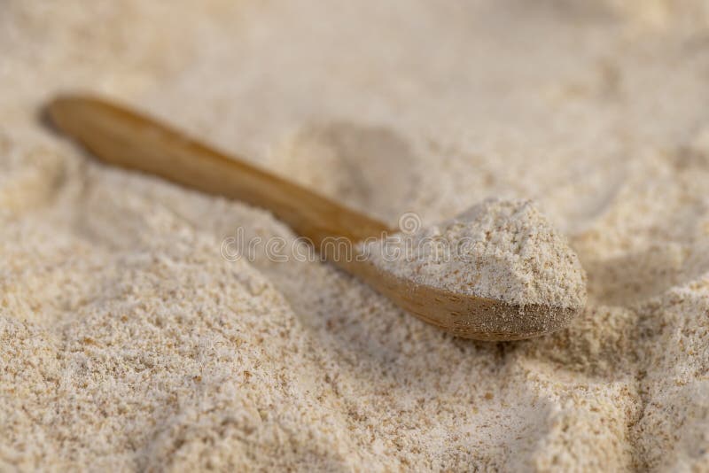 Wheat Flour with Bran, Fresh Wheat Flour Close-up, Flour for Stock ...