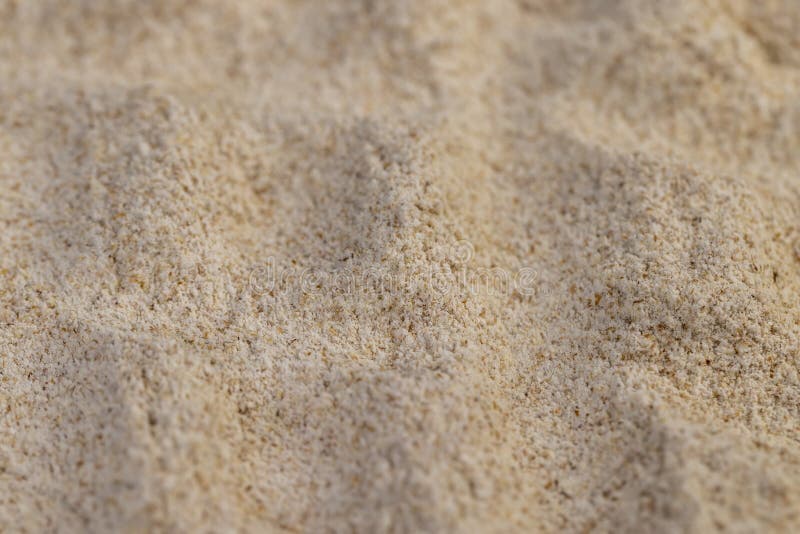 Wheat Flour for Making Bread with Bran. Closeup, Fresh Wheat Flour ...