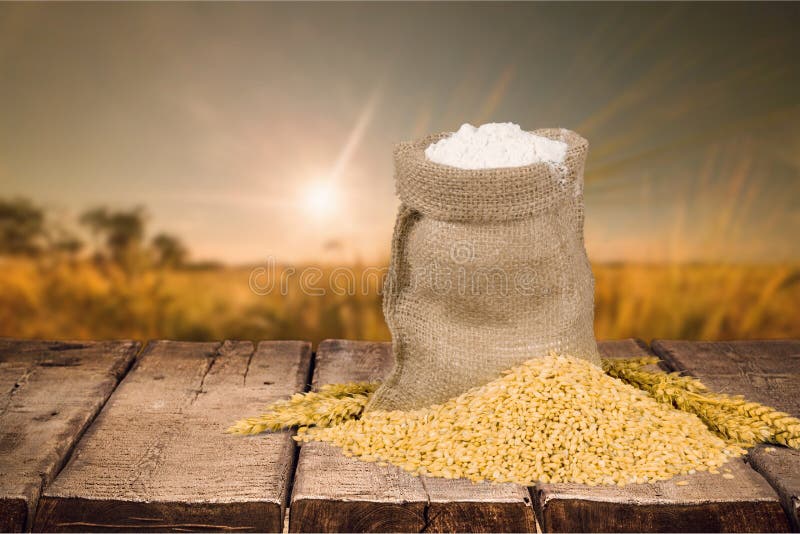 Wheat and Flour stock image. Image of plant, processed - 60934787