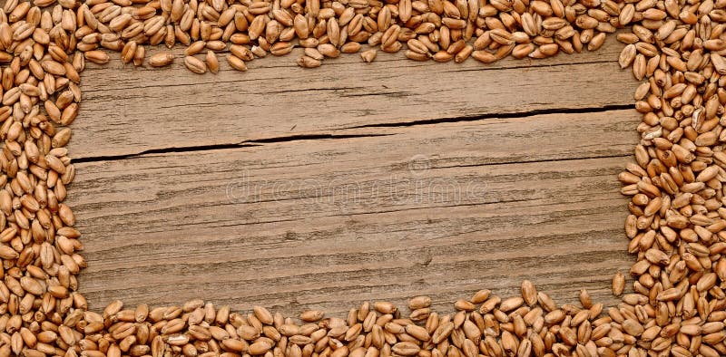 Wheat frame stock photo. Image of summer, autumn, border - 8986206