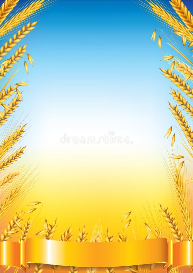 Wheat Frame on Field Background Stock Vector - Illustration of field ...