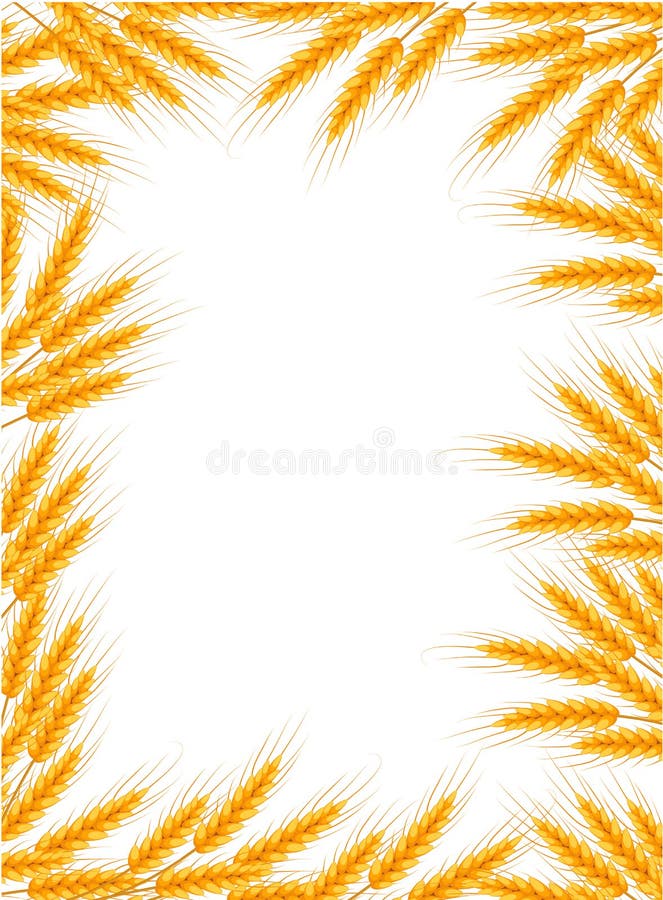 Wheat Frame. Spikelets Blank Template for Your Design Stock Vector ...