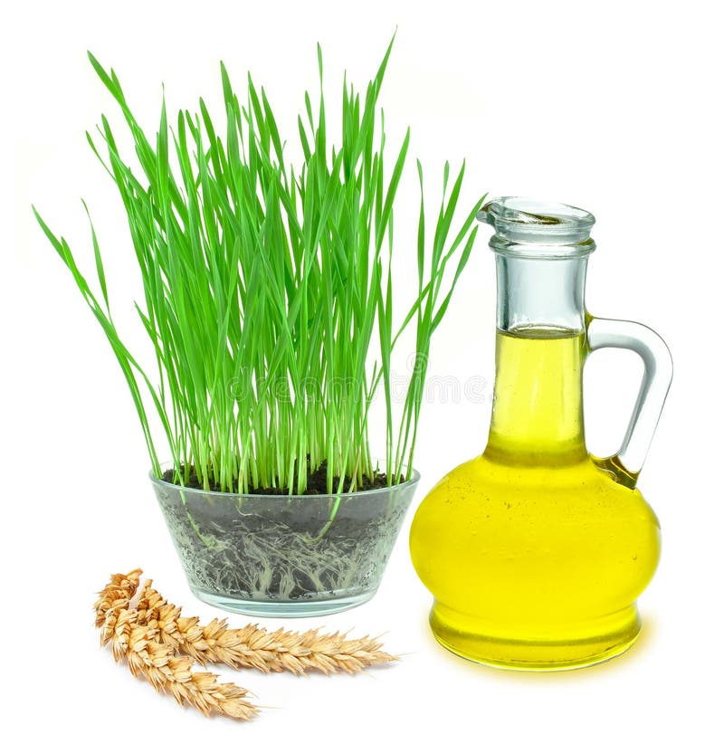 Wheat germ oil stock photo. Image of fresh, food, organic - 55671806