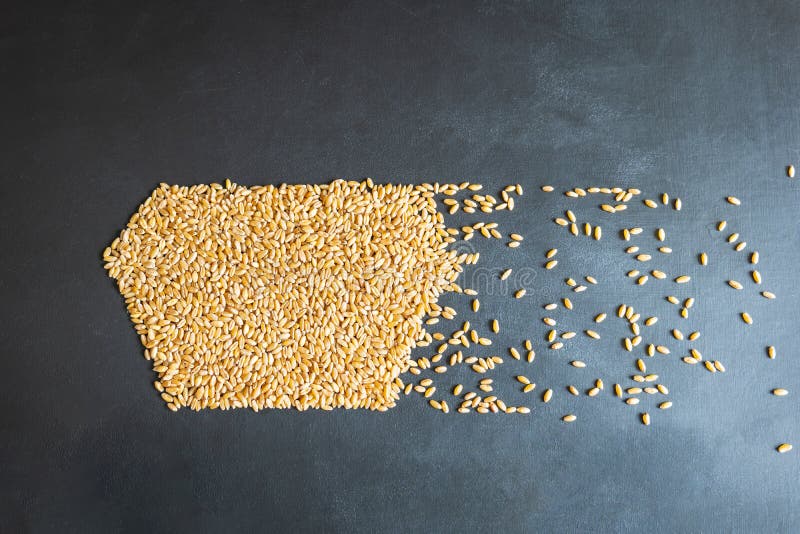 Wheat Grain Abstract Shape Concept Flat Overhead View Stock Image ...