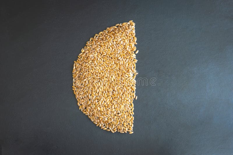 Wheat Grain Chart Pie Shape Concept Flat Overhead View Stock Image ...