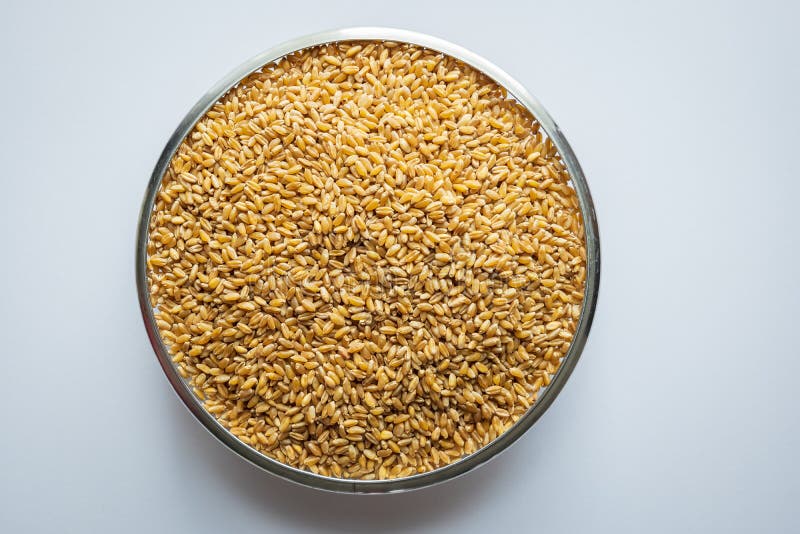 Wheat Grain Circular Container on White Background Overhead Stock Photo ...