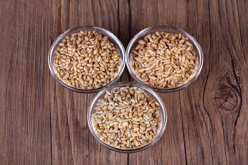 Wheat grain close up stock image. Image of health, bake - 40186041