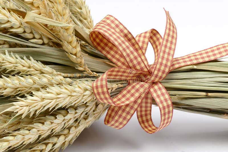 Grain Decoration Isolated on White Stock Photo - Image of grain ...