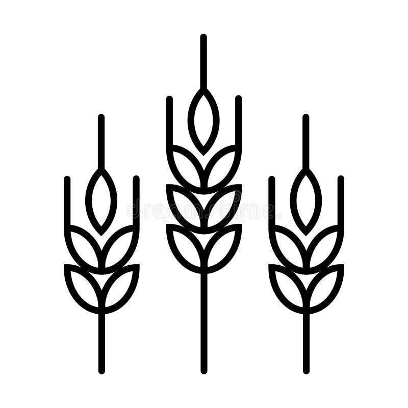 Wheat Grain Icon in Linear Style. Stock Vector - Illustration of crop ...