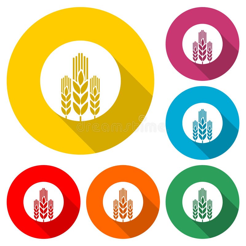 Wheat Grain Icon with Long Shadow Stock Vector - Illustration of barley ...