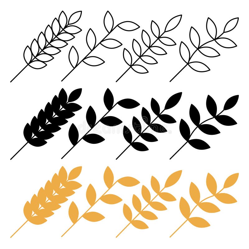 Wheat grain icon vector stock vector. Illustration of pictogram - 348102663