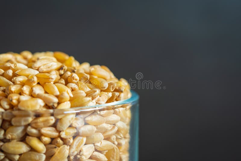 Wheat Grain Inside Glass Jar Storage Container Closeup Stock Photo ...