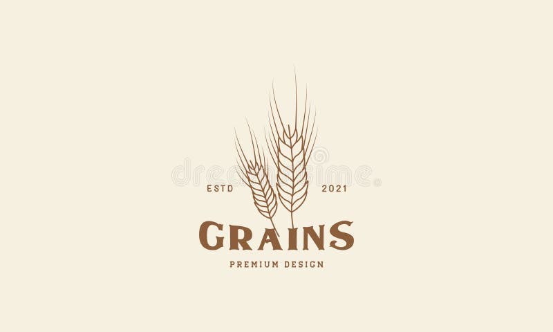 Wheat Grain Leaf Line Hipster Logo Design Vector Icon Symbol ...