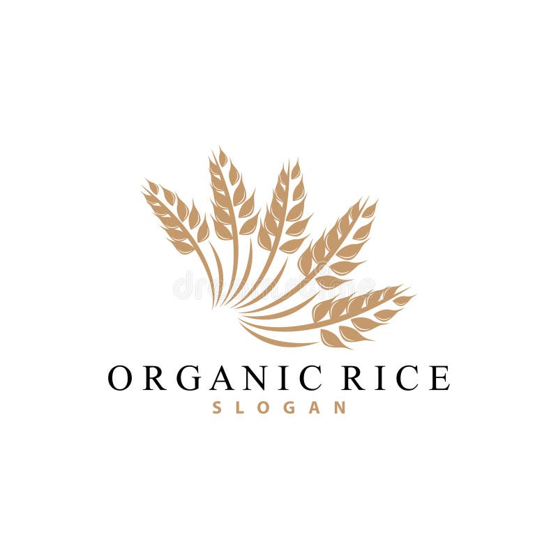 Wheat Grain Rice Logo, Simple Design Organic Vector Illustration Icon ...