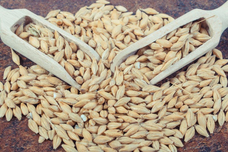 Wheat Grain with Spoon on Old Rustic Background. Agriculture Stock ...