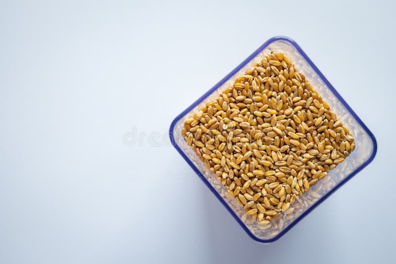Wheat Grain in Square Storage Container Overhead View Stock Photo ...