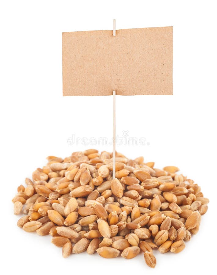 Wheat grain with tag stock image. Image of busi, background - 81712573