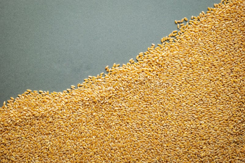 Wheat Grain Texture Background Flat Overhead View Stock Image - Image ...