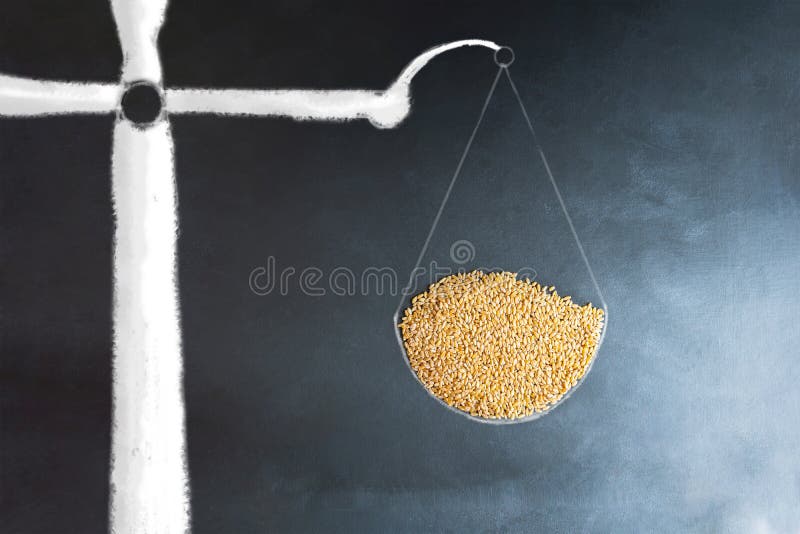 Wheat Grain Weight Scales Concept Flat Overhead Stock Image - Image of ...