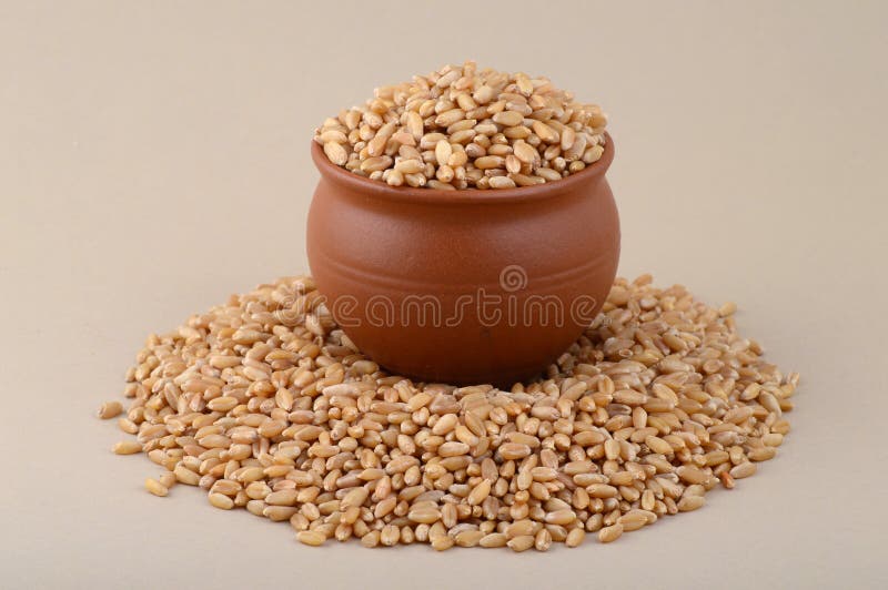 Wheat grains in clay pot stock photo. Image of grain - 106552042