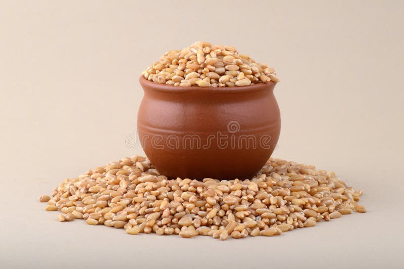 Wheat grains in clay pot stock photo. Image of field - 106549700