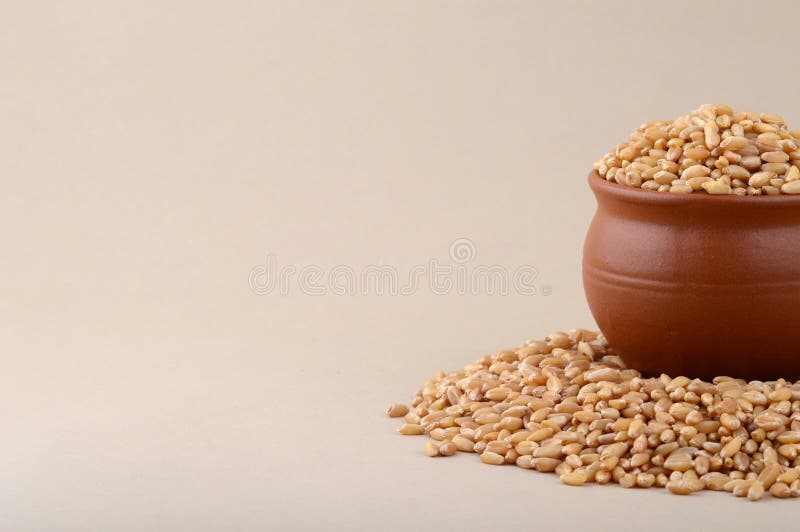 Wheat grains in clay pot stock image. Image of field - 106549807