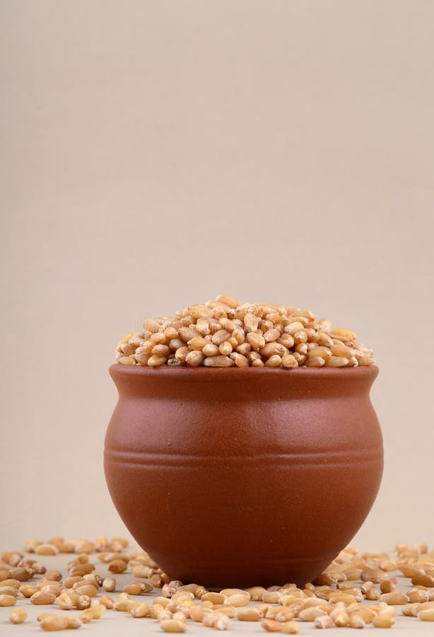 Wheat grains in clay pot stock photo. Image of grain - 106552042