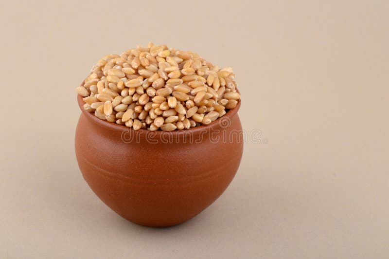 Wheat grains in clay pot stock image. Image of farm - 106551375