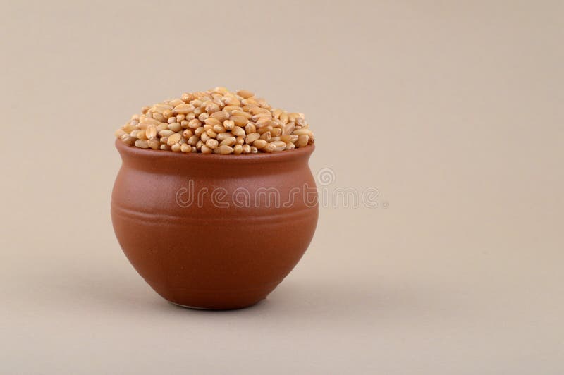 Wheat grains in clay pot stock photo. Image of harvesting - 106551446